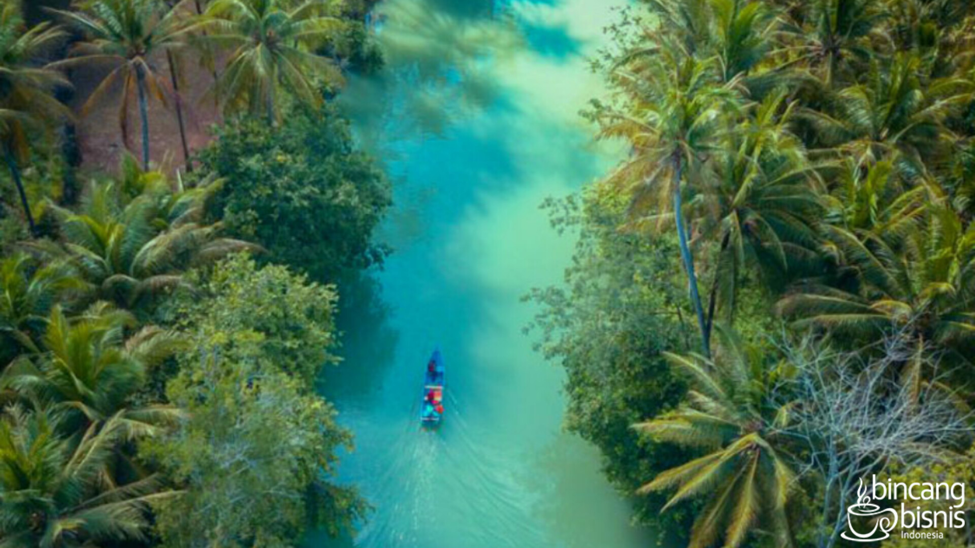 5 Destinasi Wisata di Pacitan – Bincang Bisnis Indonesia